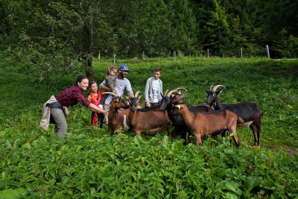 Matkov kot and Matkov škaf - Zgornja Savinjska Dolina