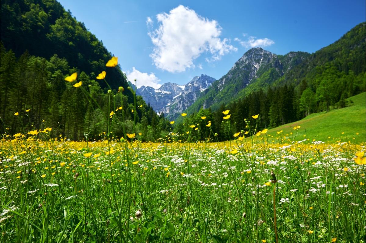 Matkov kot and Matkov škaf - Zgornja Savinjska Dolina